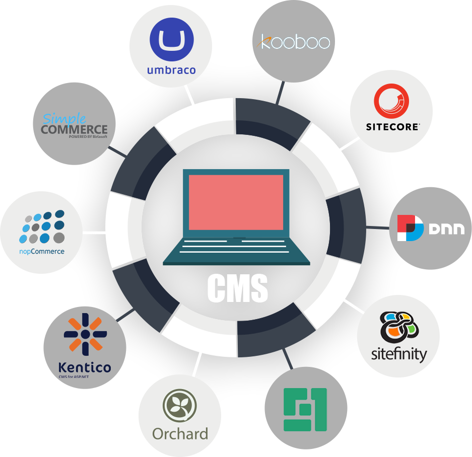 CMS Development Services | Scalable Content Platforms | TwinCore